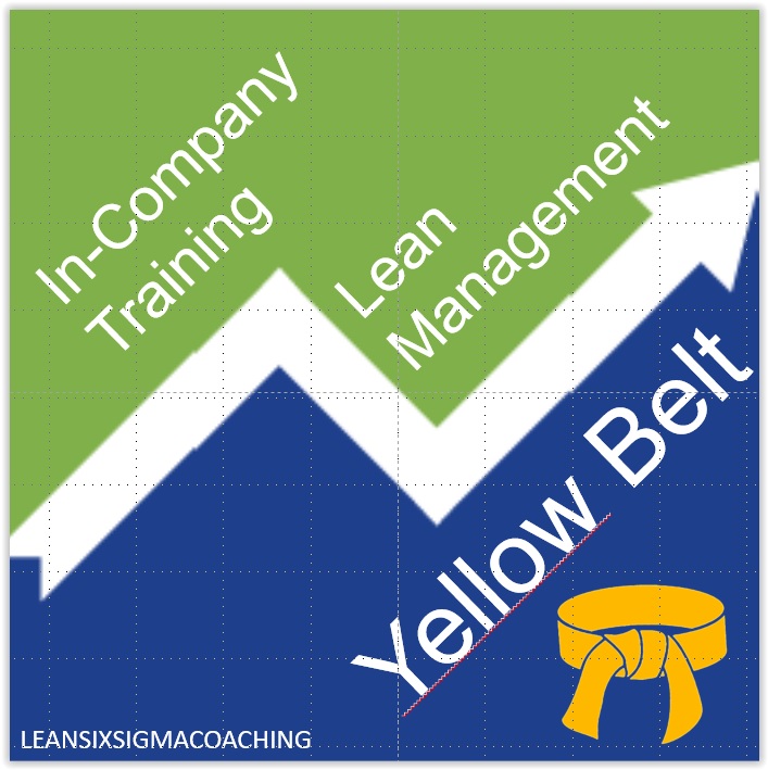 Yellow Belt Lean Management Incompany - Lean Six Sigma Coaching