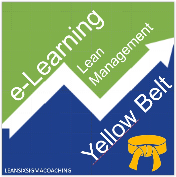 Yellow Belt Lean Management e-Learning
